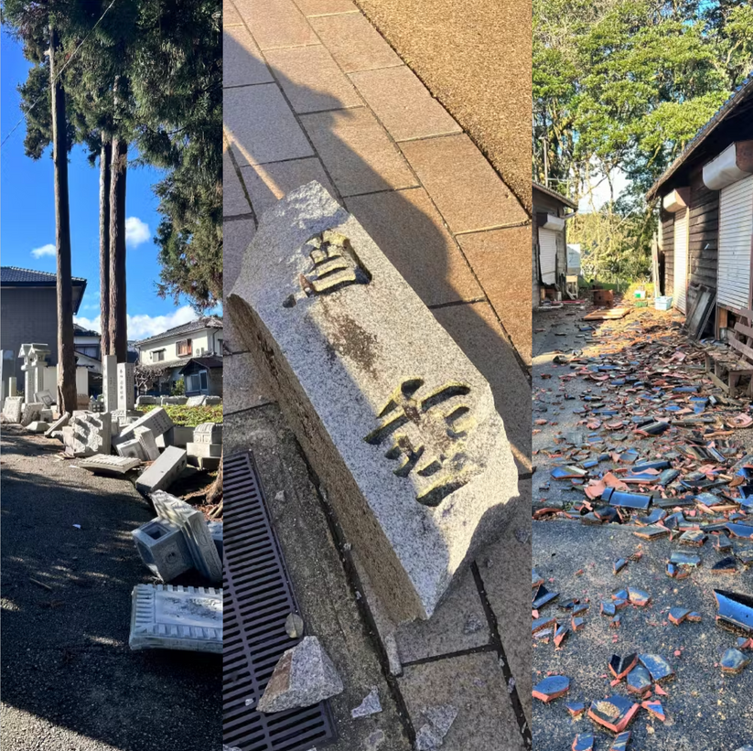 【能登支援】QINO SODA 御神木杉 -能登・酒垂神社-