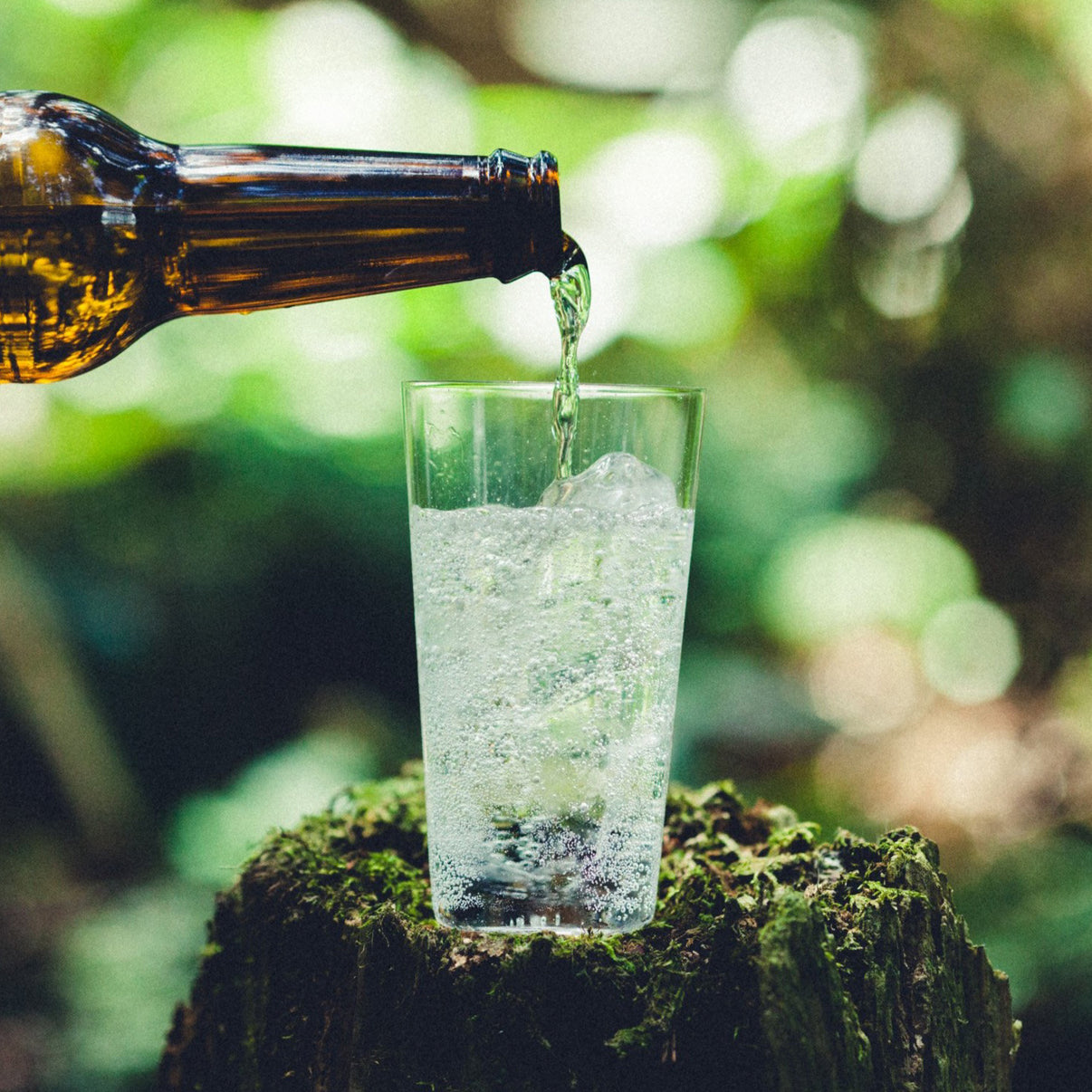 QINO SODA 黒文字 -白山麓-