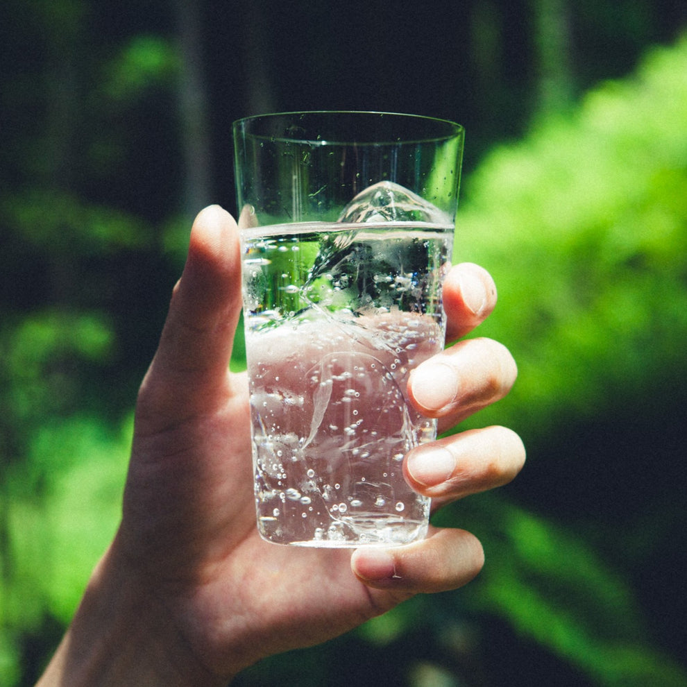 QINO SODA - 黒文字 - 白山麓 6本セット